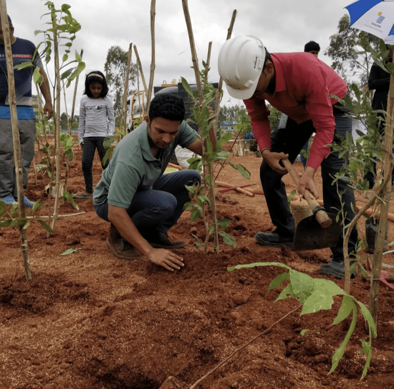 Varun Ravindra Turns 100+ Acres Of Barren Land Into Forest