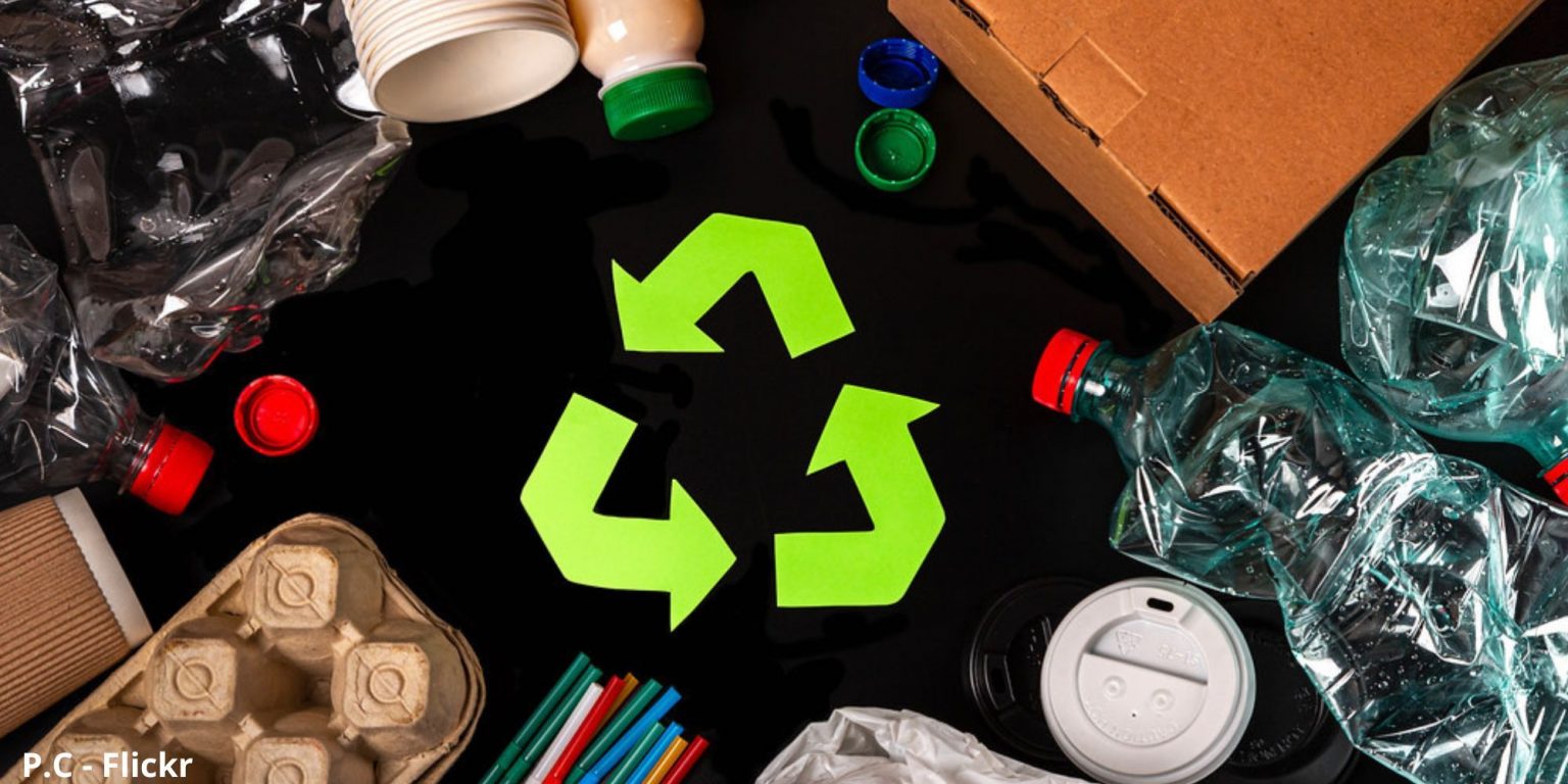 GamerFleet - Built A Community Of 18.5+ Lakh Through...