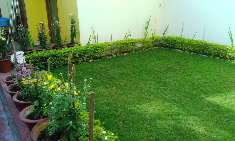 5 DIY Tips To Set Up Your Own Sustainable Terrace Garden