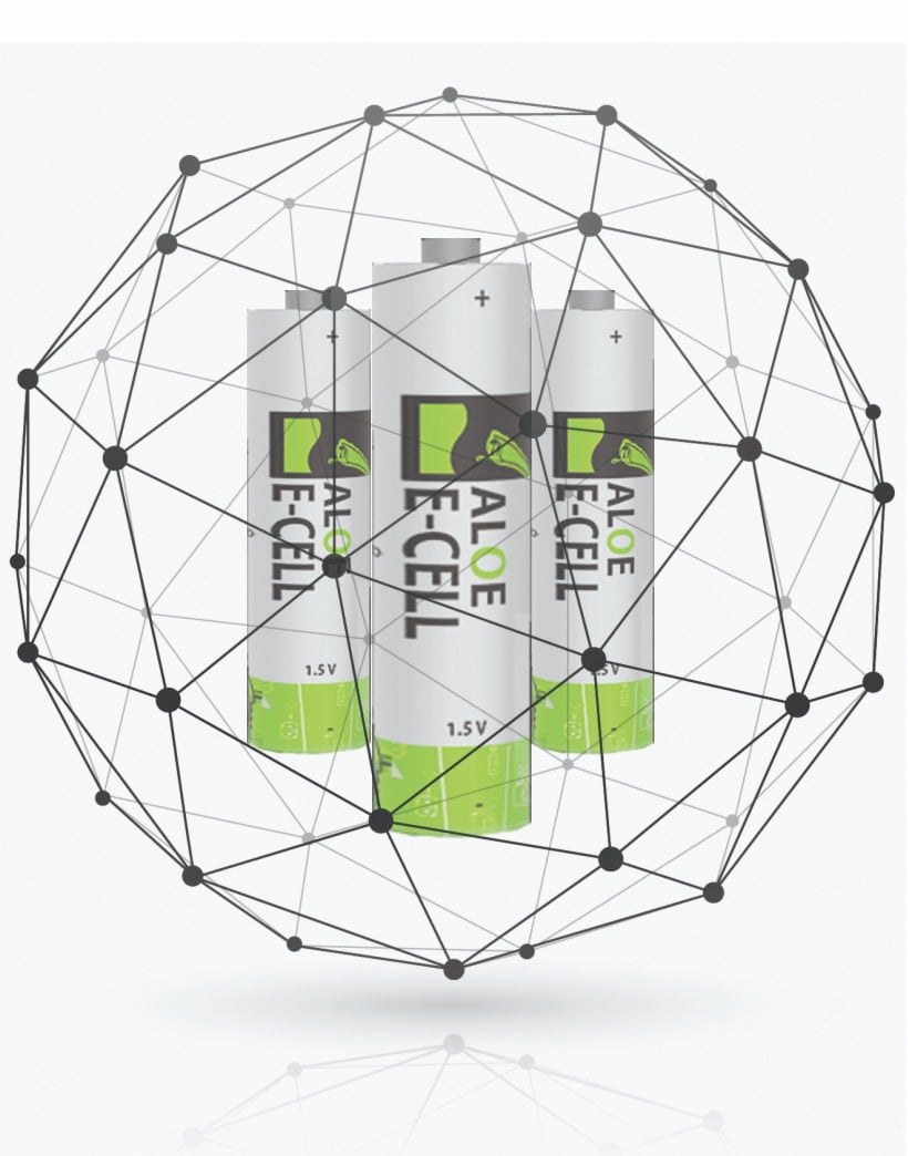 A Battery Made From Aloe Vera - This Biofuel Startup Makes Battery Cell ...