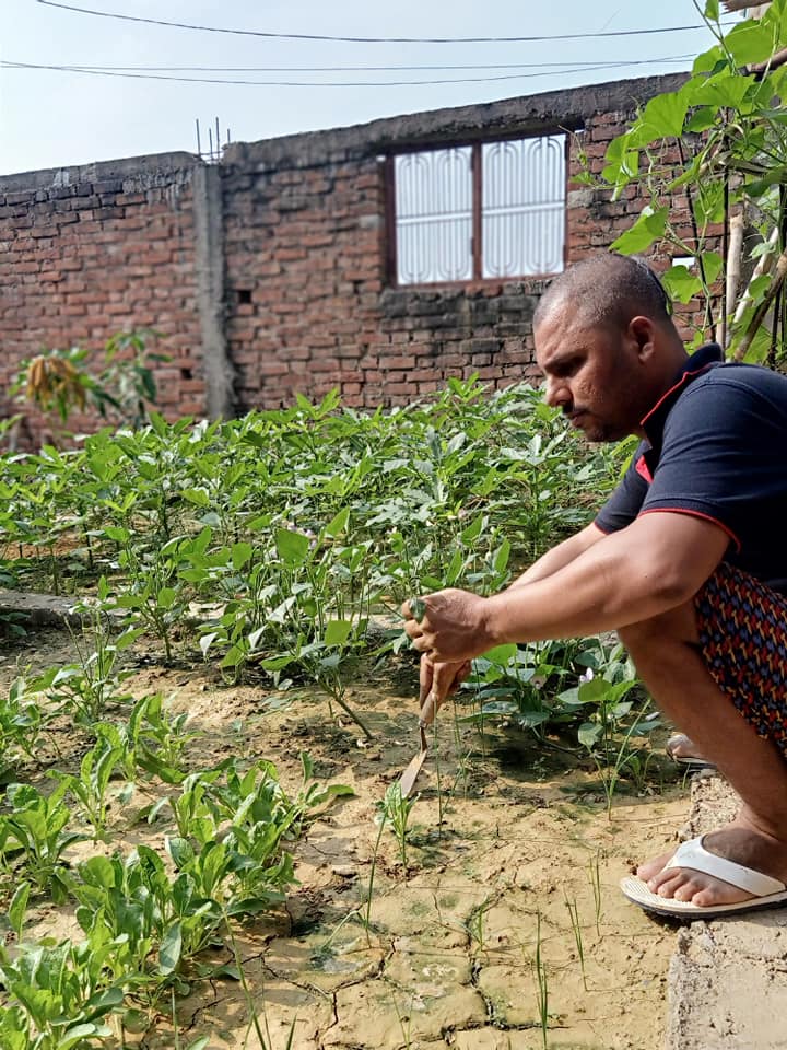 This Organic Farming Project Will Bring A Farm To Your Balcony- Need ...
