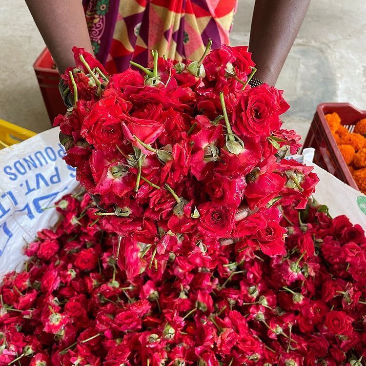 With Hoovu Fresh Flowers Sister Duo's Makes Rs 8 Crore Annually