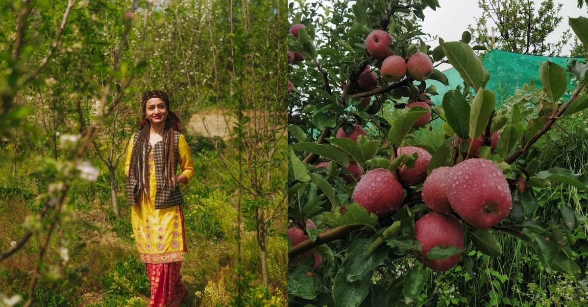 4 Himalayan Gipsies Started My Pahadi Dukan From Zero, Now Funded By ...