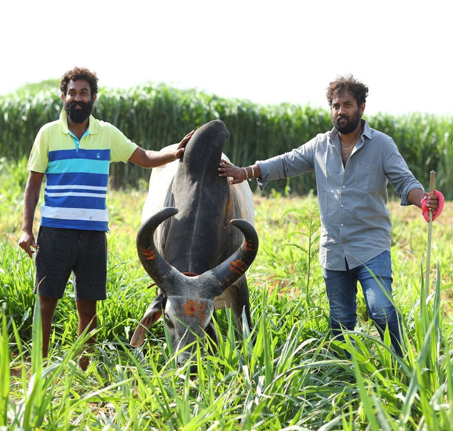 Story Of Hebbevu Farm Land, Journey Of Amith Kishan