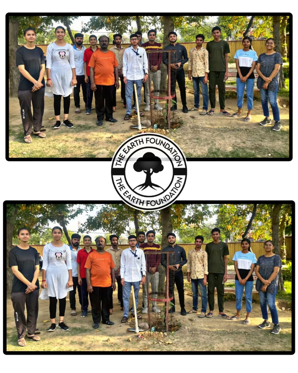 The Earth Foundation Emergeing As A Saviour Of Environment