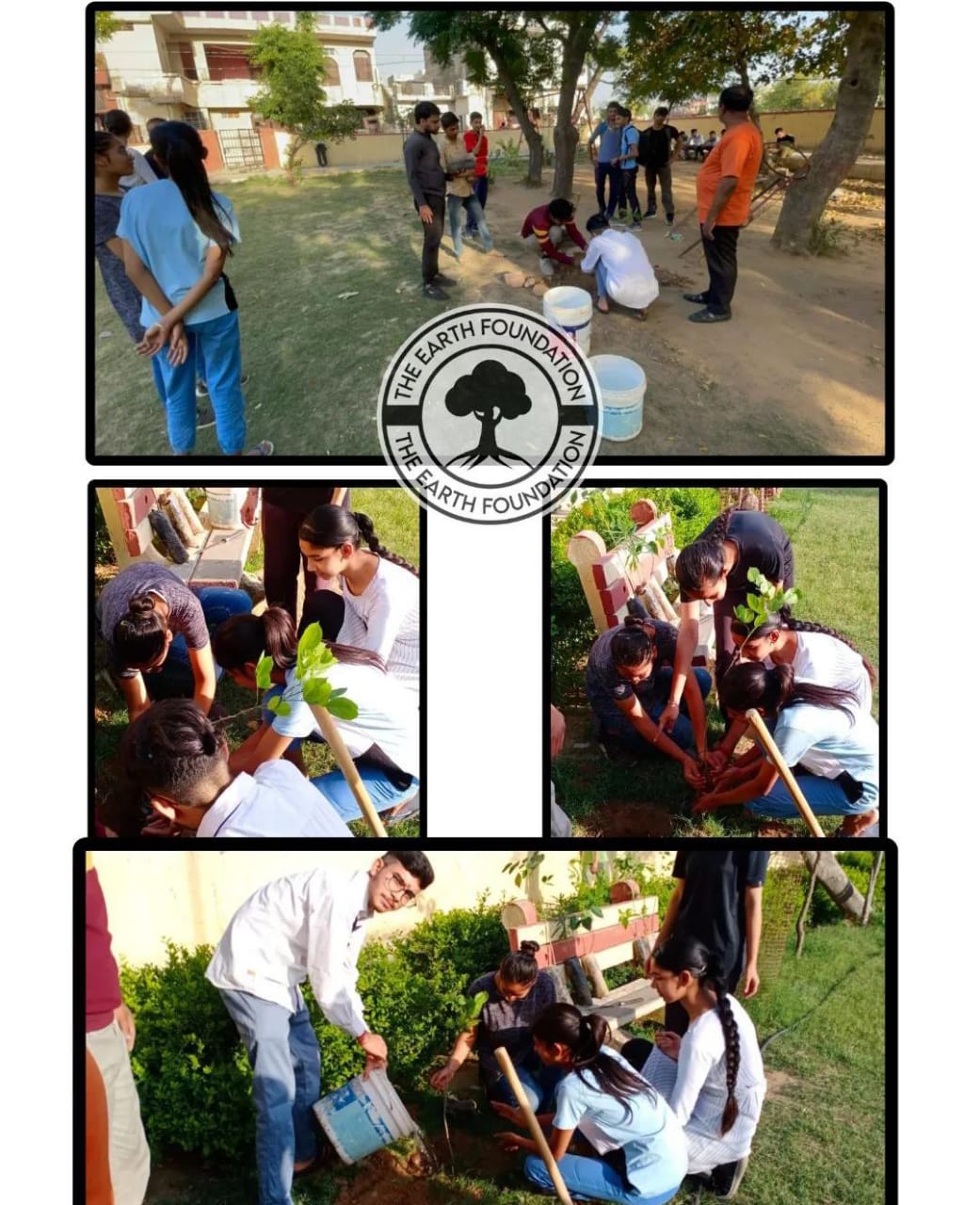 The Earth Foundation Emergeing As A Saviour Of Environment
