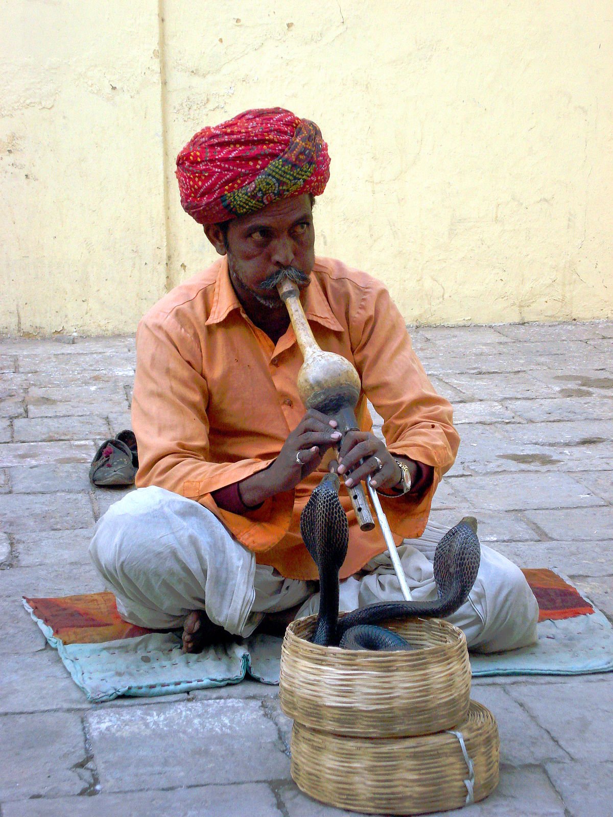 Kalbeliya Dance - A Powerful Folklore Of Mythological Snakes