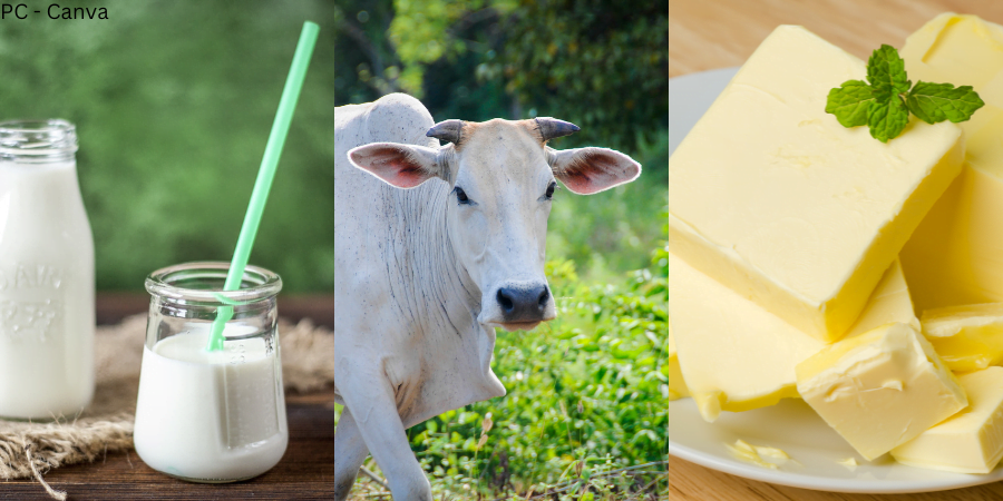 National Milk Day 2023 - History & Facts!